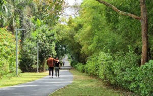 PGAA Creative Design